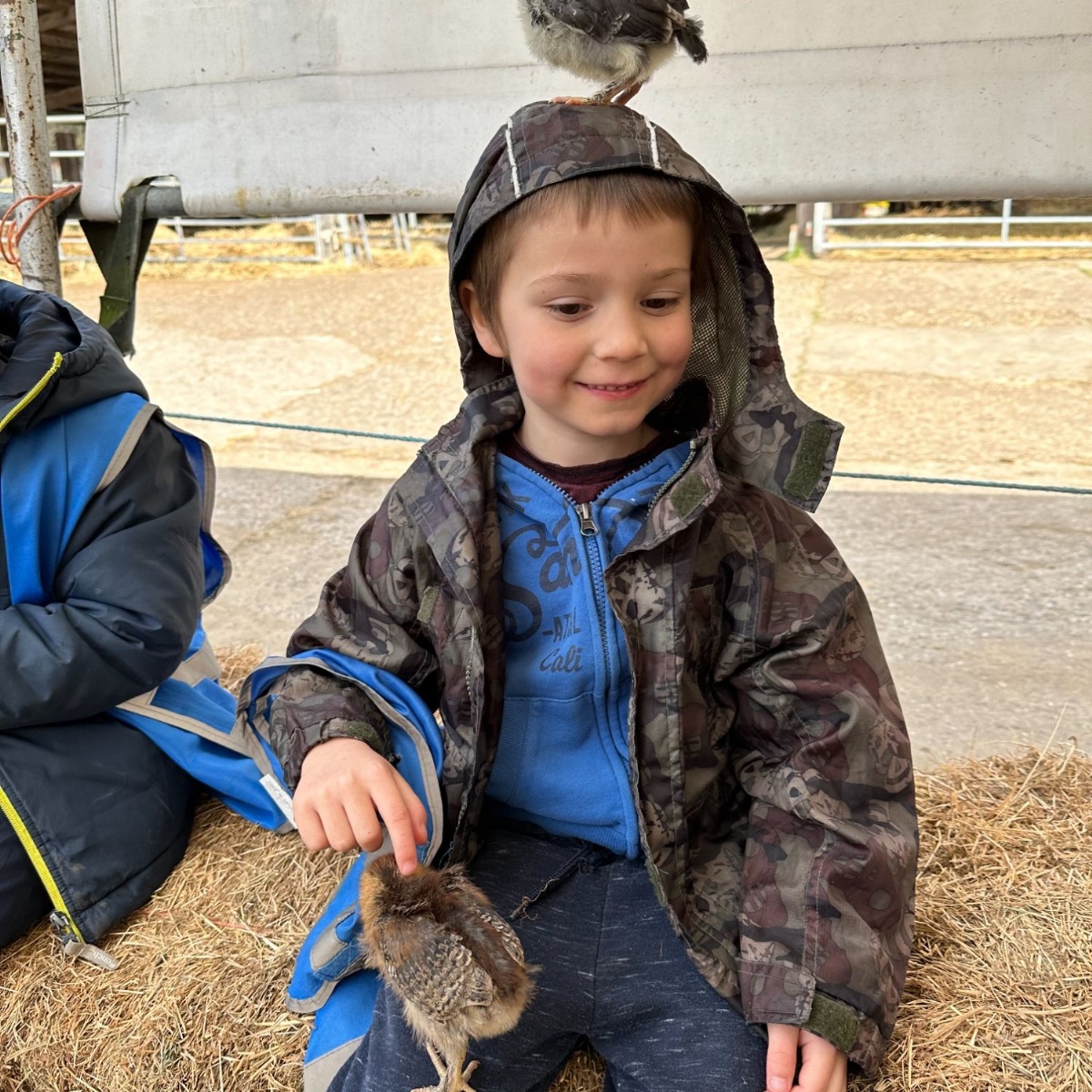Katherine Semar Schools - Year 1 Visit Boydell's Farm