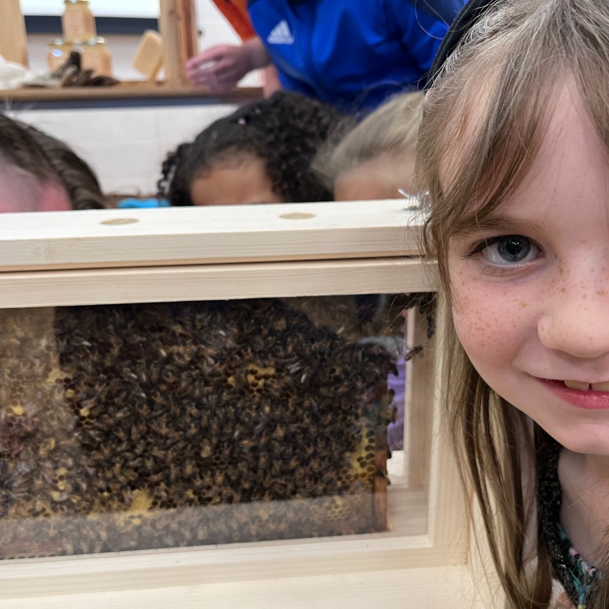 Katherine Semar Schools - The Bee Hive Company Visit Year 3